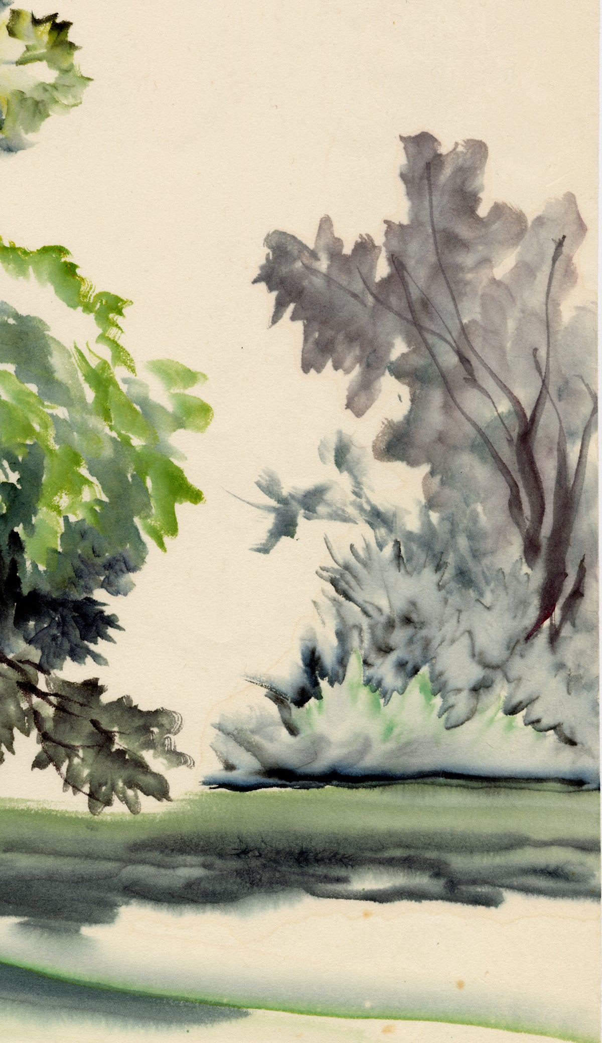 Watercolor Drawings Of Trees Watercolor Trees Hi Res Stock Photography