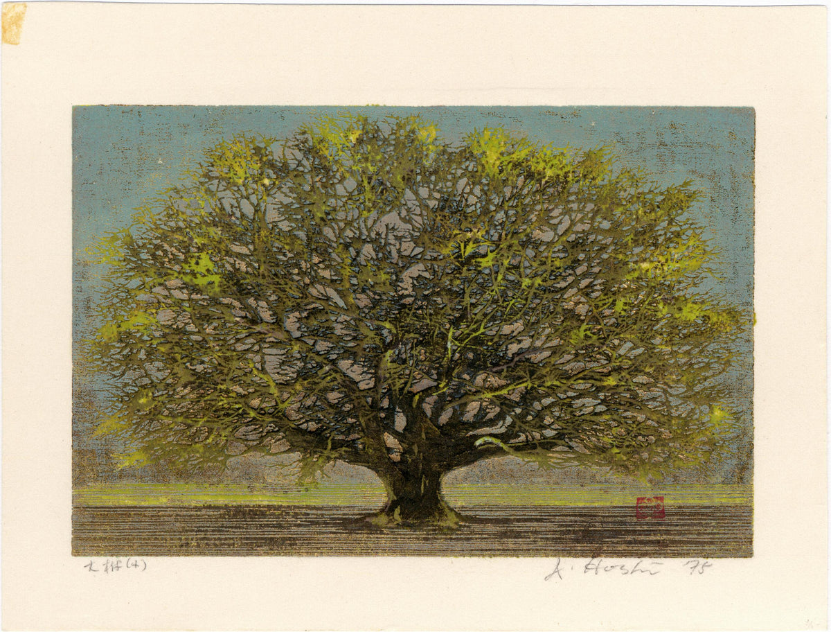 Hoshi Jōichi: Great Tree (small) (Sold) – Egenolf Gallery Japanese Prints