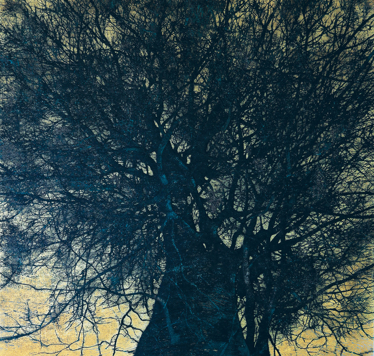 Hoshi Jōichi: High Treetop (A) (Sold) – Egenolf Gallery Japanese Prints