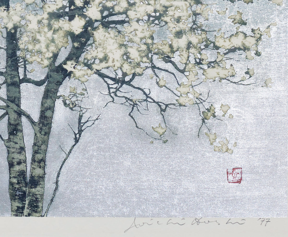 Joichi Hoshi: Magnolia in Bloom (Kobushi) (Sold) – Egenolf Gallery ...